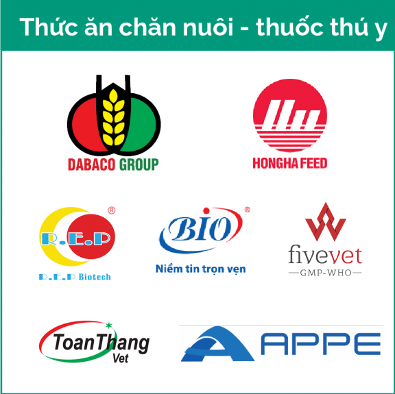 Phần mềm DMS MobiWork - Giải pháp Quản lý hệ thống phân phối