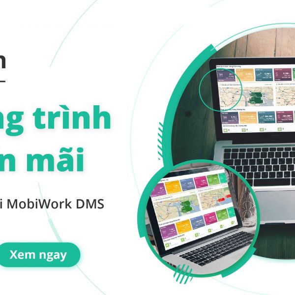 Phân biệt phần mềm DMS và phần mềm ERP