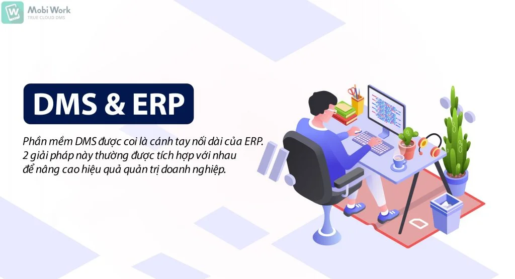 Phân biệt phần mềm DMS và phần mềm ERP
